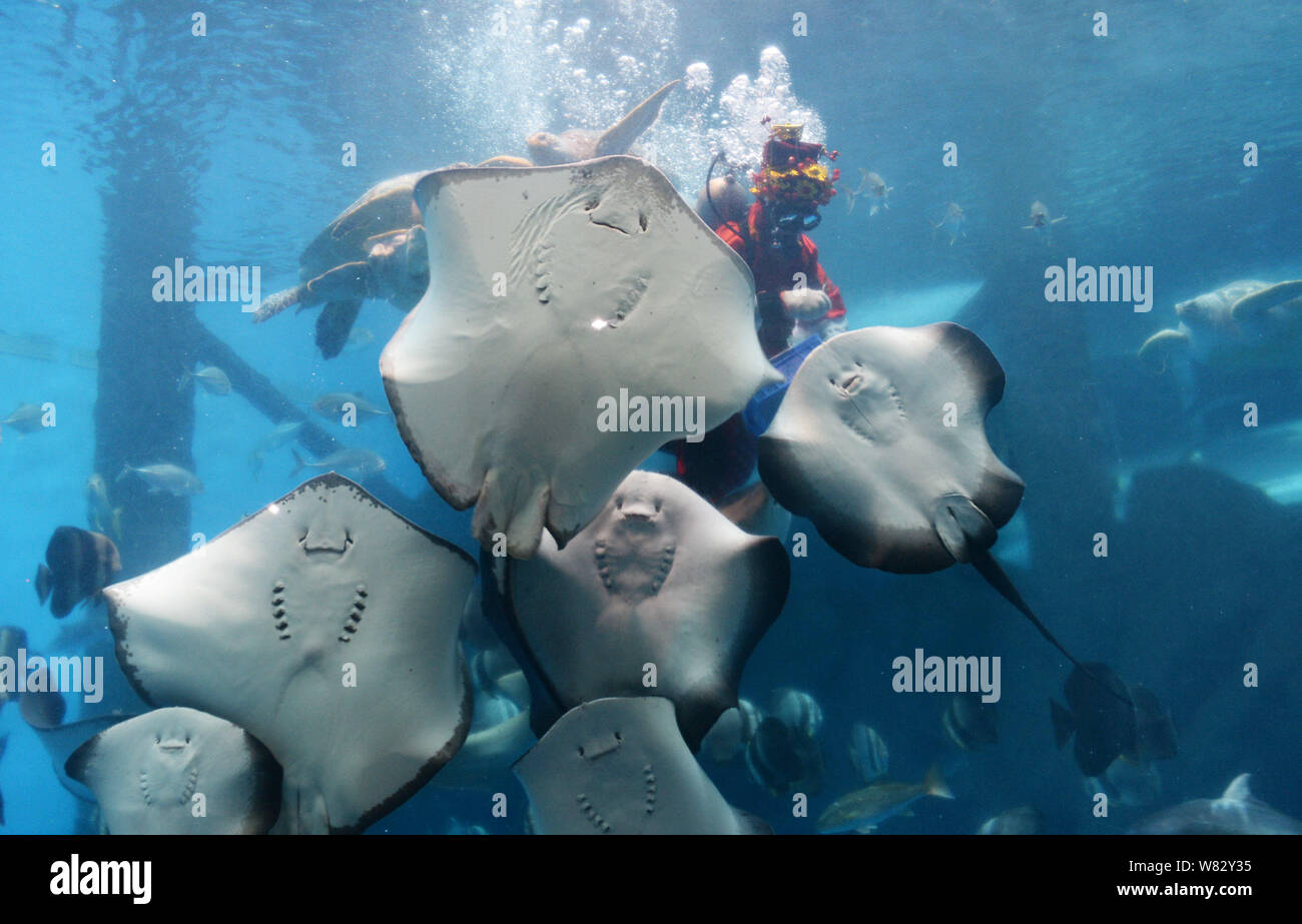 City in a fish tank hi-res stock photography and images - Alamy
