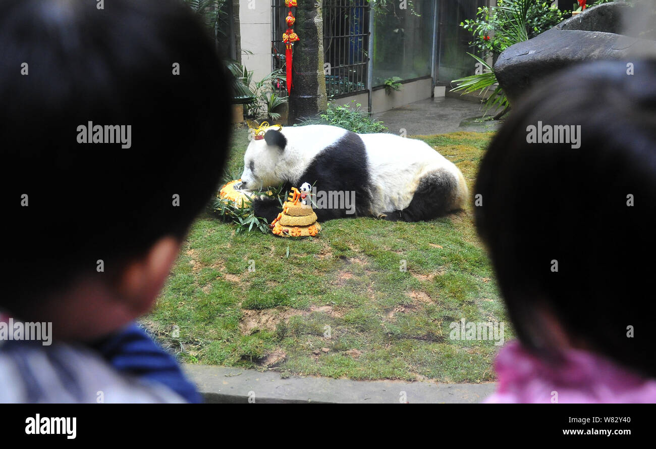 Panda research hi-res stock photography and images - Alamy
