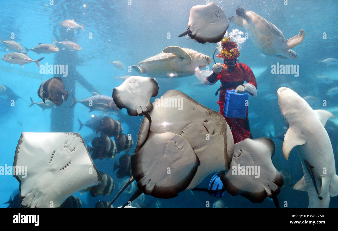 Tank tr hi-res stock photography and images - Alamy