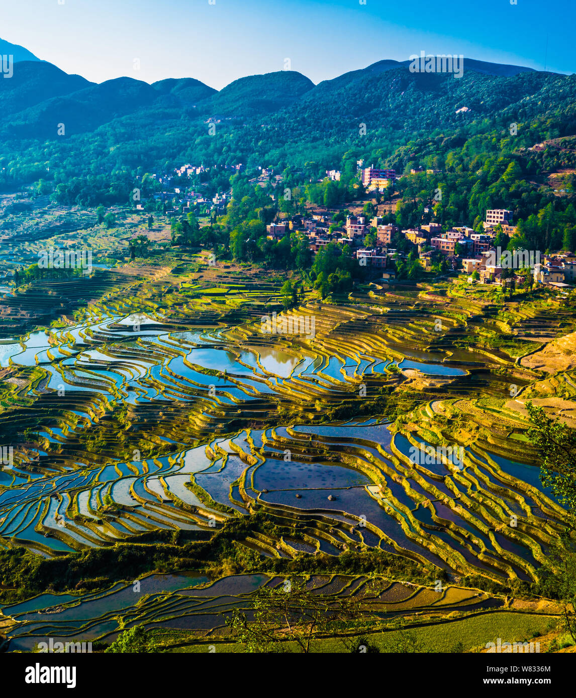 Landscape of terraced rice fields of the Honghe Hani Rice Terraces, one ...