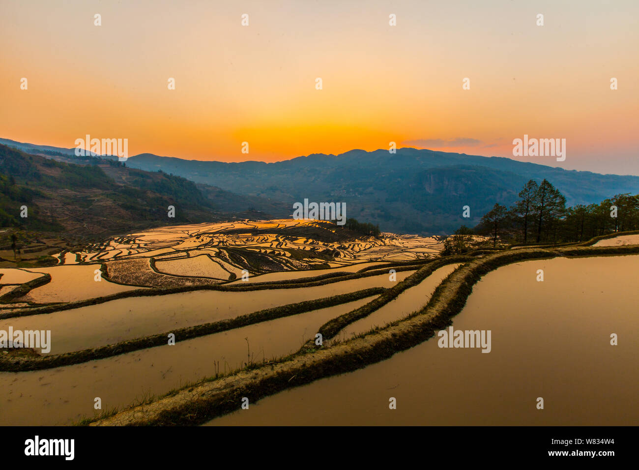Landscape of terraced rice fields of the Honghe Hani Rice Terraces, one ...