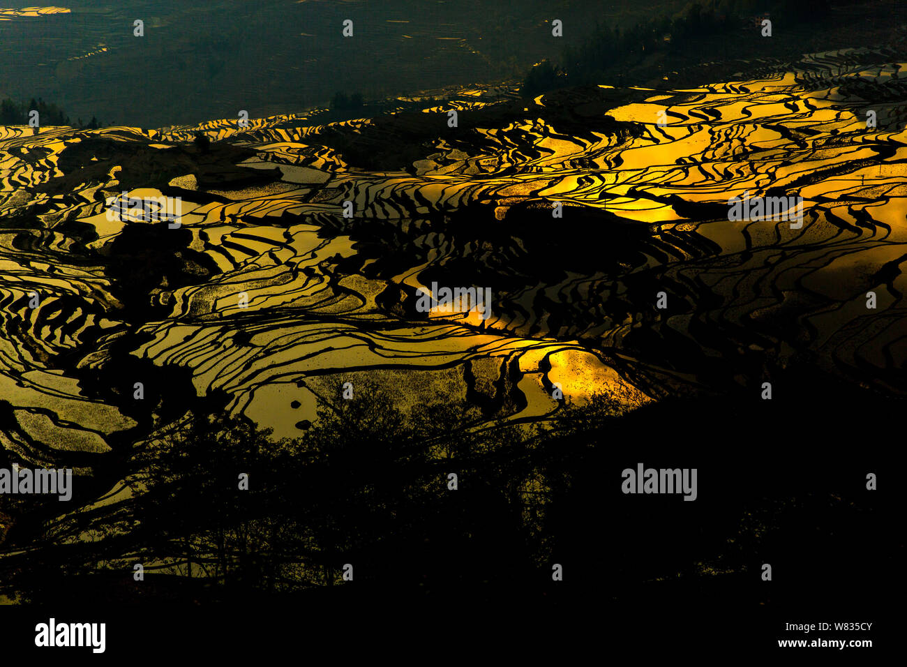 Landscape of terraced rice fields of the Honghe Hani Rice Terraces, one ...