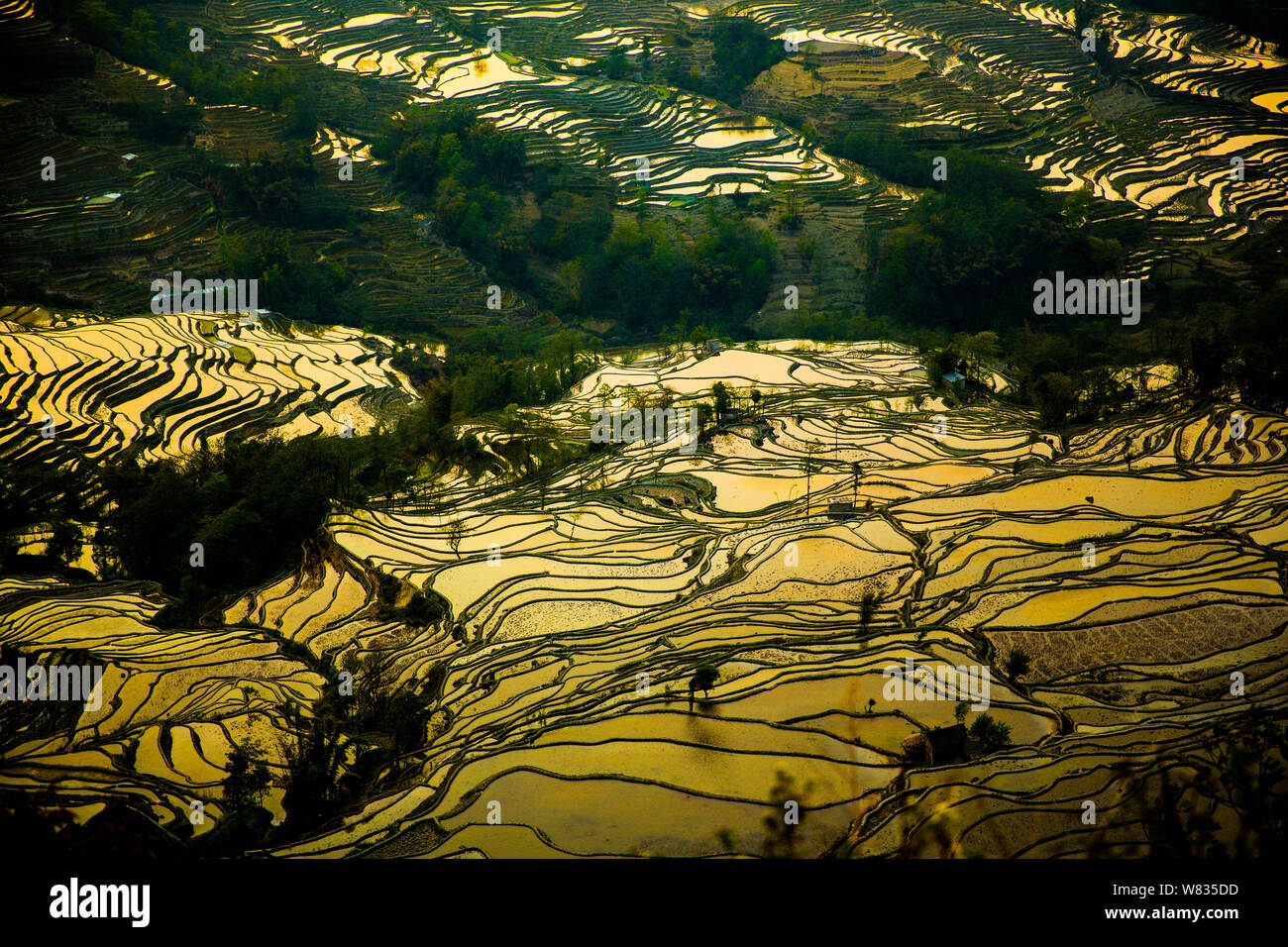 Landscape of terraced rice fields of the Honghe Hani Rice Terraces, one ...