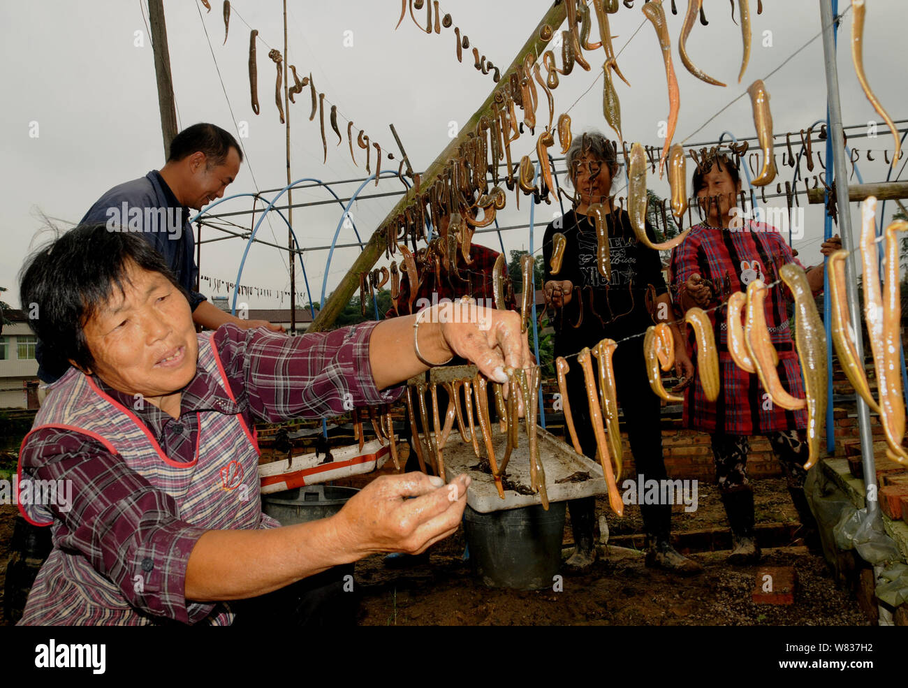 Shizi town hi-res stock photography and images - Alamy