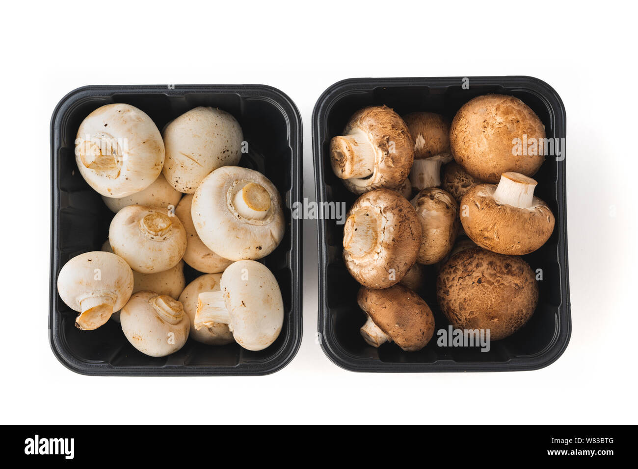 Plastic eating mushroom hi-res stock photography and images - Alamy