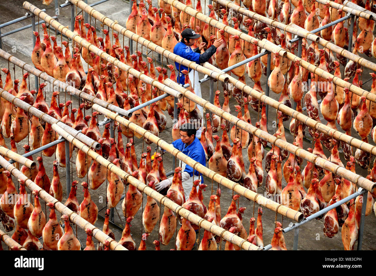 Chinese workers hang Jinhua hams to dry them in the sun in a factory of ...