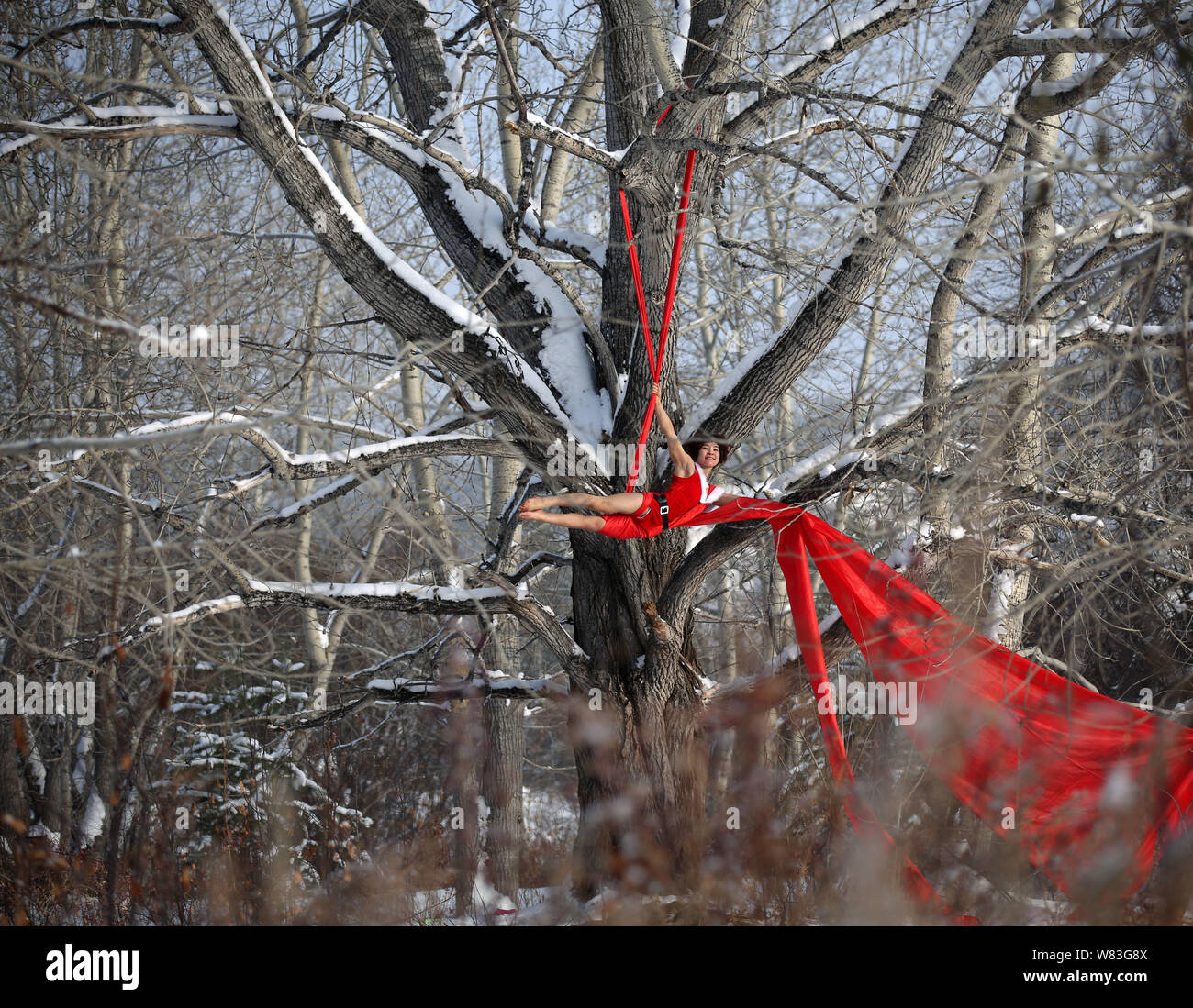 A female Chinese pole dancer dressed in Christmas costume performs with ...