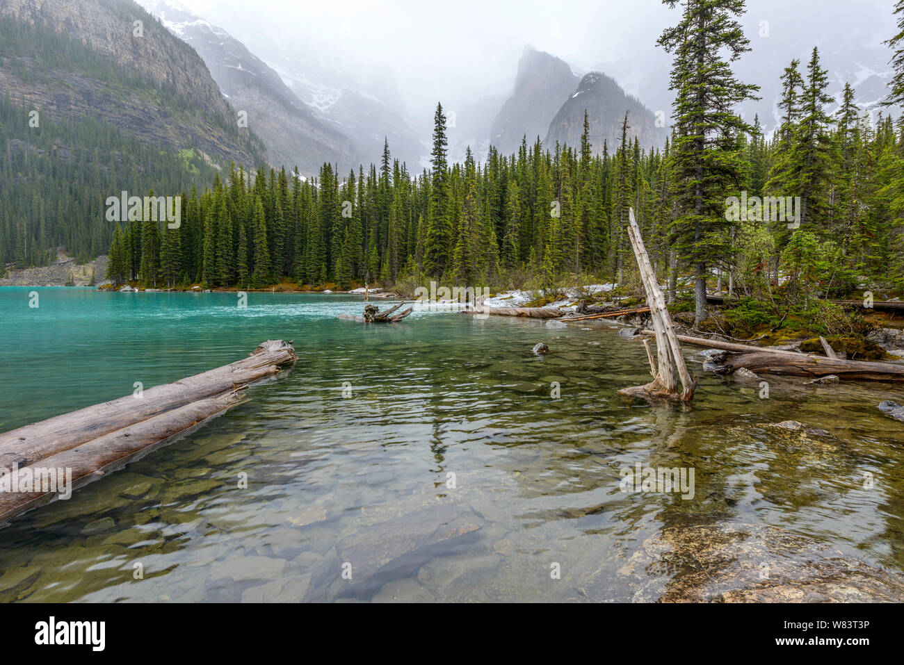 Inlet Creek of Moraine Lake - A rapid mountain creek rushing into clear ...