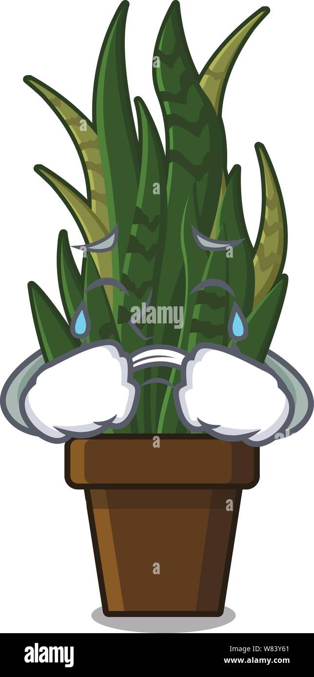 Crying snake plant with the character shape Stock Vector Image & Art ...