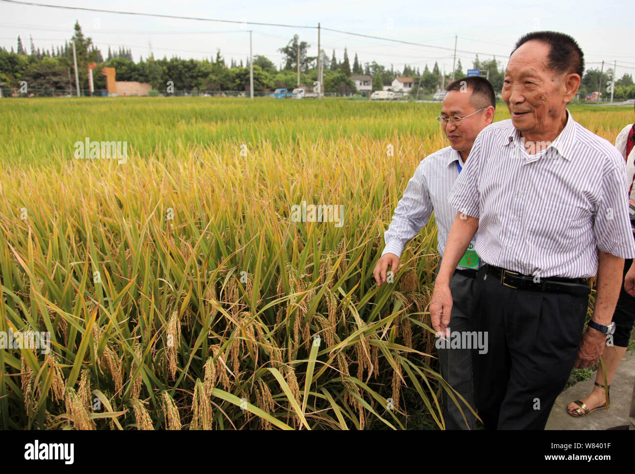 --FILE--Chinese scientist Yuan Longping, known as the Father of Hybrid ...