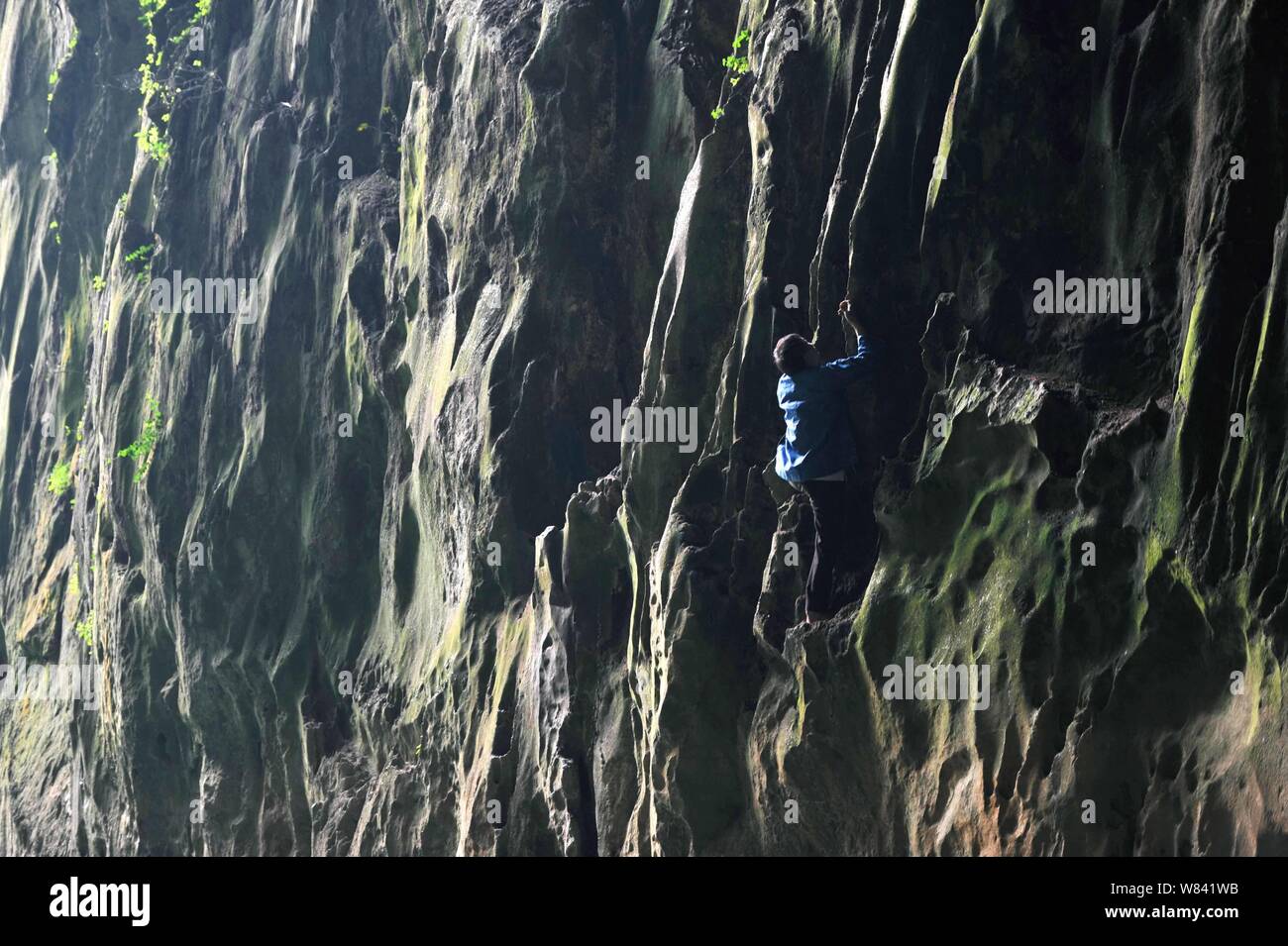Chinese man Huang Xiaobao of Miao ethnic minority climbs the cliff in a ...