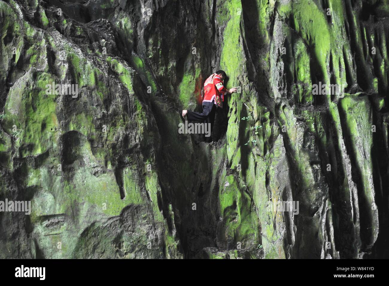 Chinese man Huang Xiaobao of Miao ethnic minority climbs the cliff in a ...