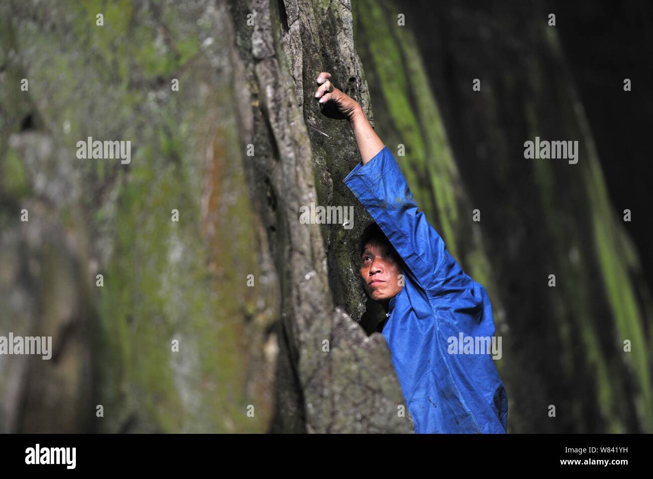 Chinese man Huang Xiaobao of Miao ethnic minority climbs the cliff in a ...