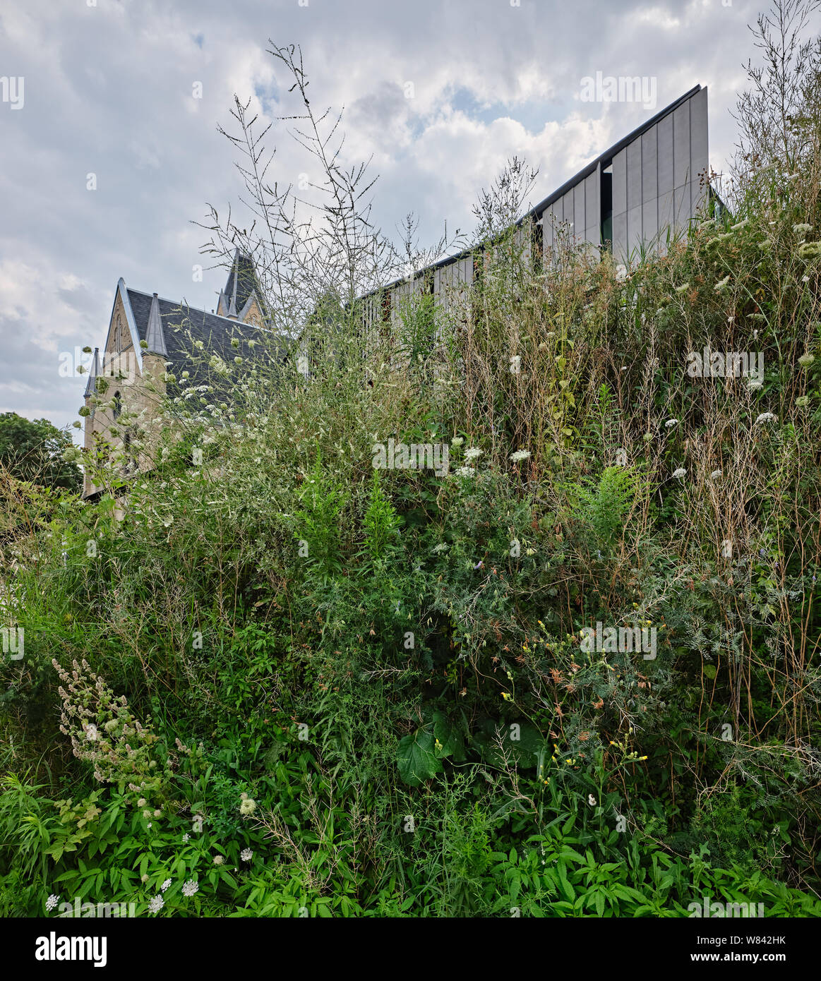 Daniels Building faculty of Architecture University of toronto Stock ...