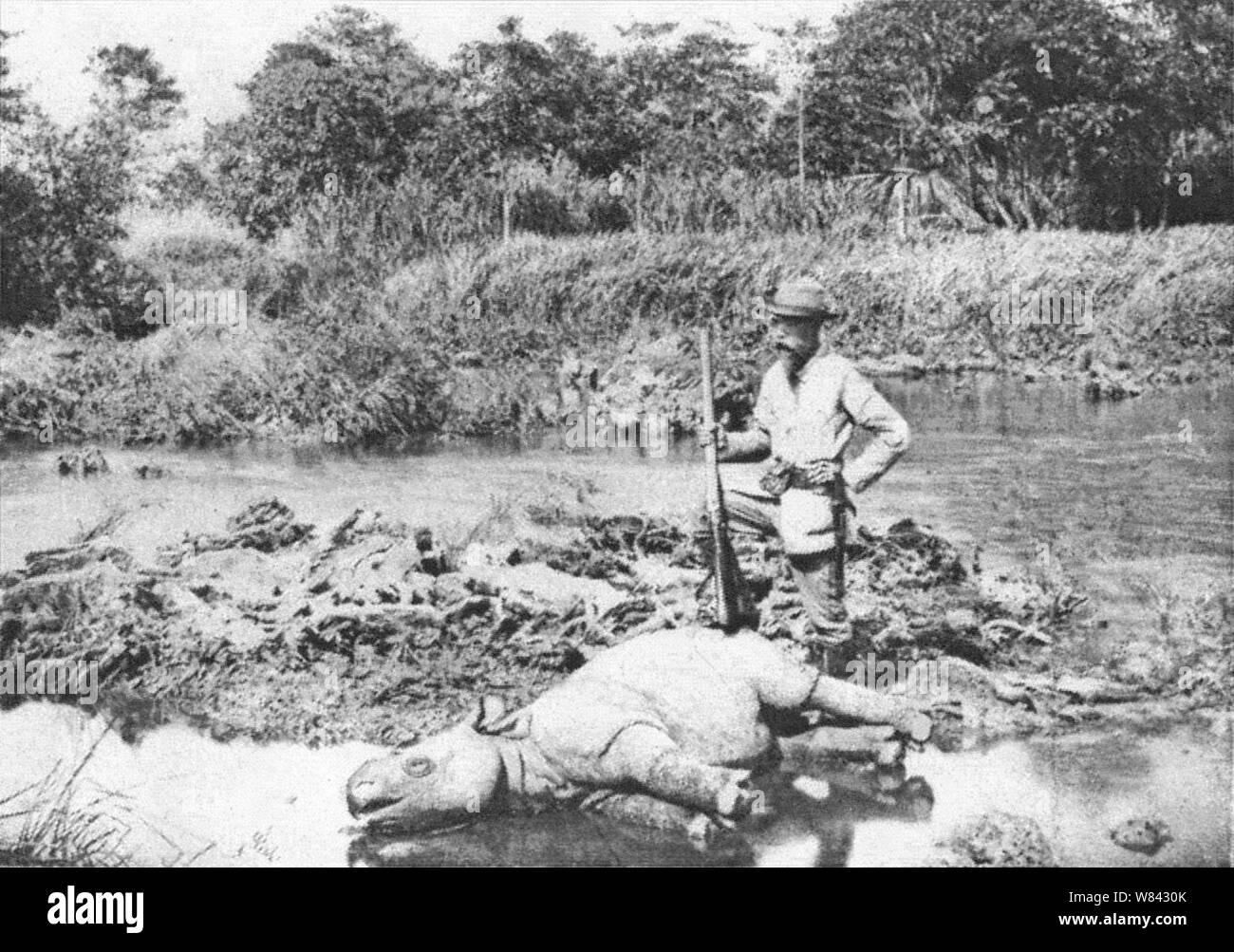 Picture rhino Black and White Stock Photos & Images - Alamy