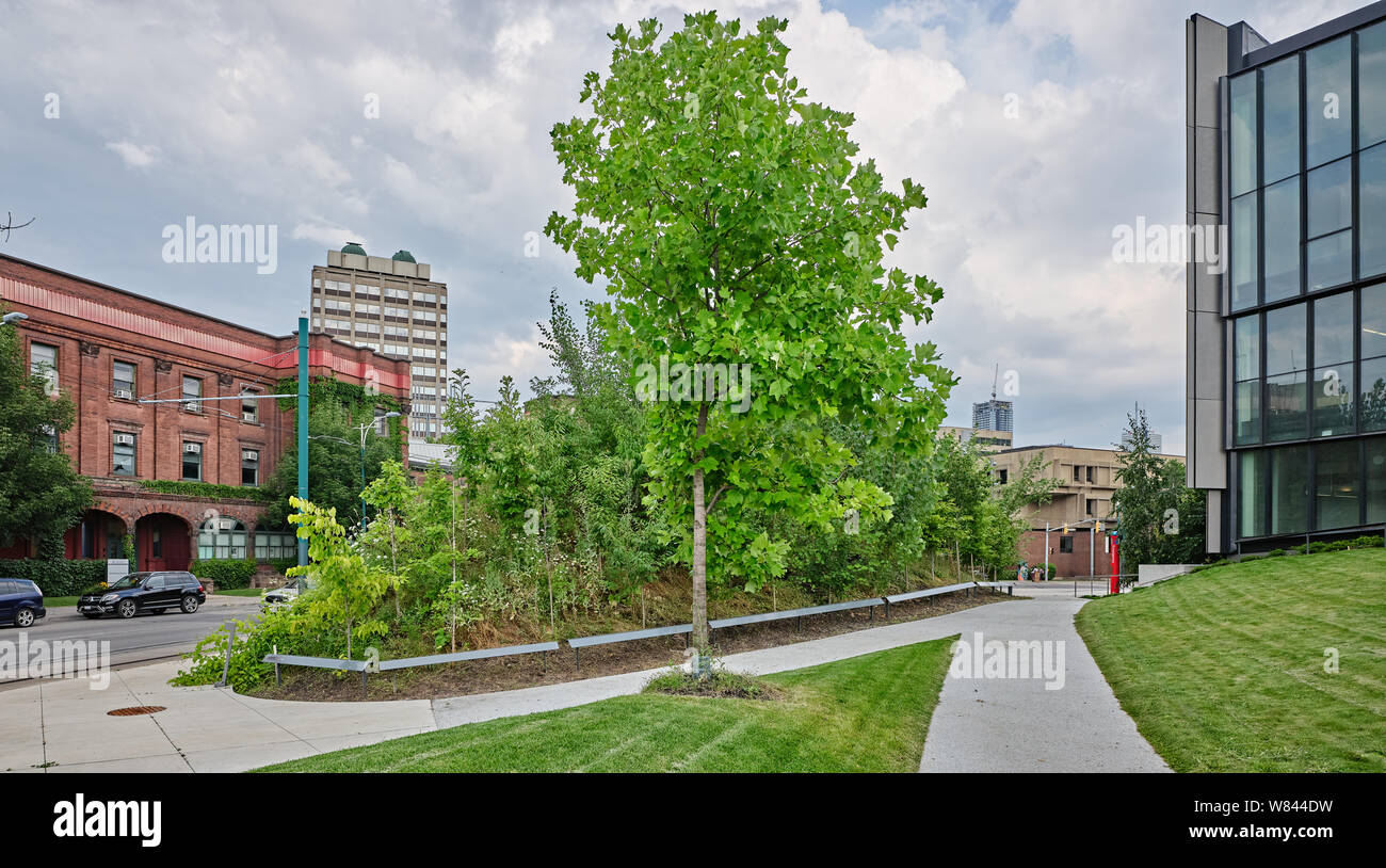 Daniels Building faculty of Architecture University of toronto Stock ...
