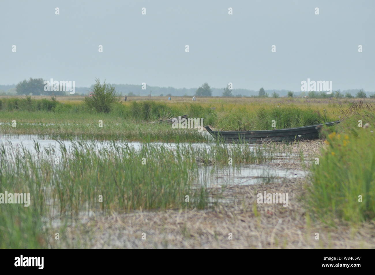 Lake Switaz. Clean, clear water. Rest in Ukraine. Volyn Stock Photo - Alamy
