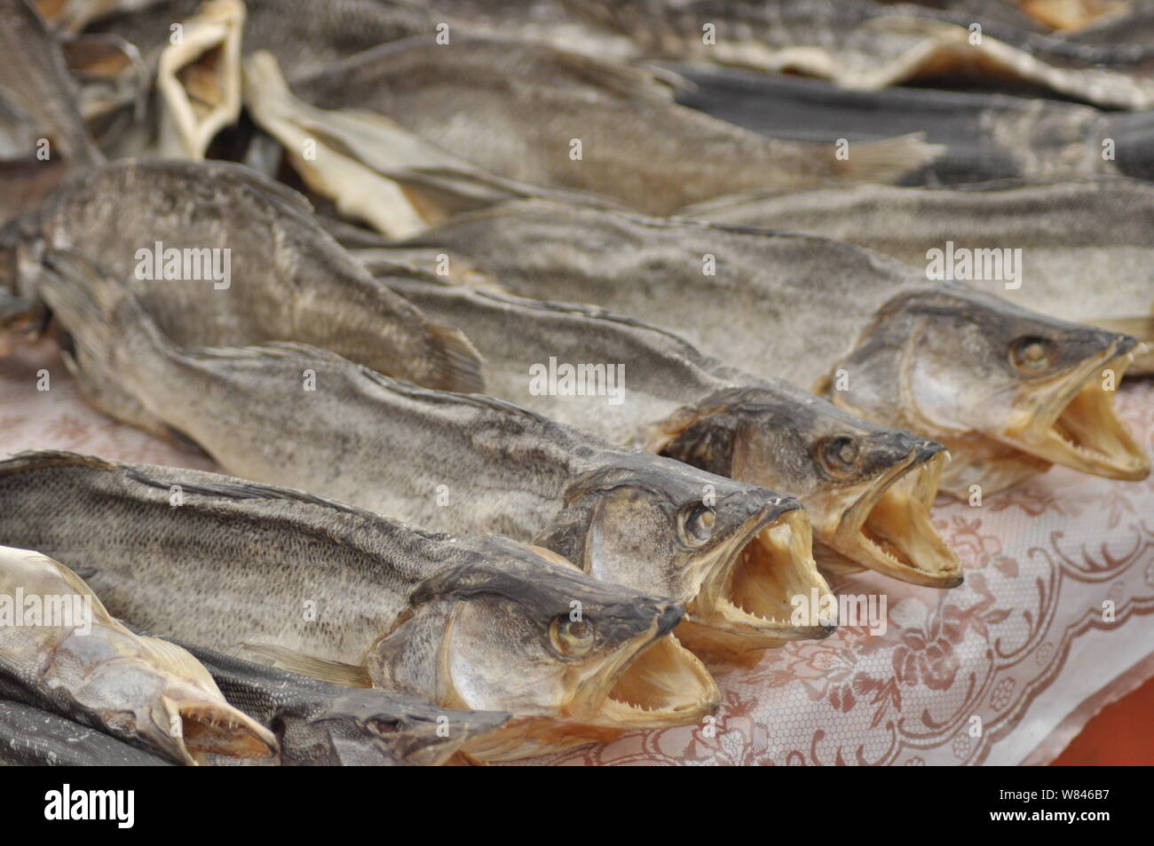 Dried fish at the market. Delicacy, snack lakes Ukraine Stock Photo - Alamy