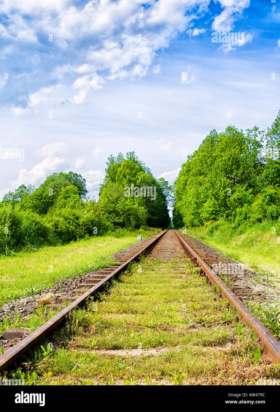 A railway through the summer green fields. Beautiful green railway tree ...