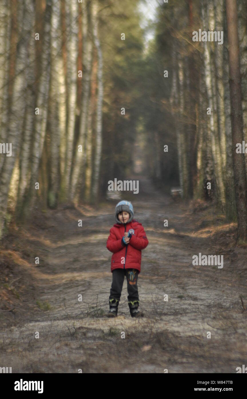 The boy, the child in the forest. Fun in the fresh air. A walk along a ...