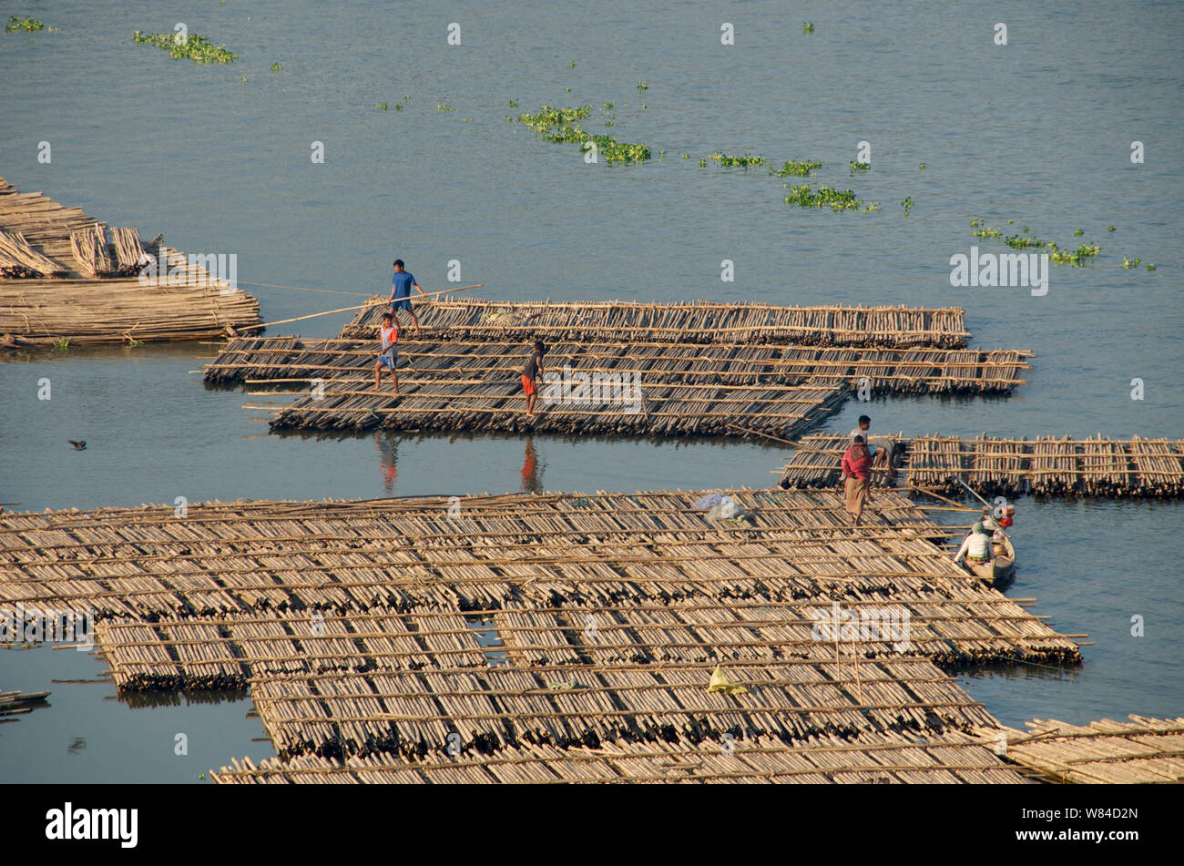 On the Irrawaddy River in Myanmar, countless barges carrying timber ...