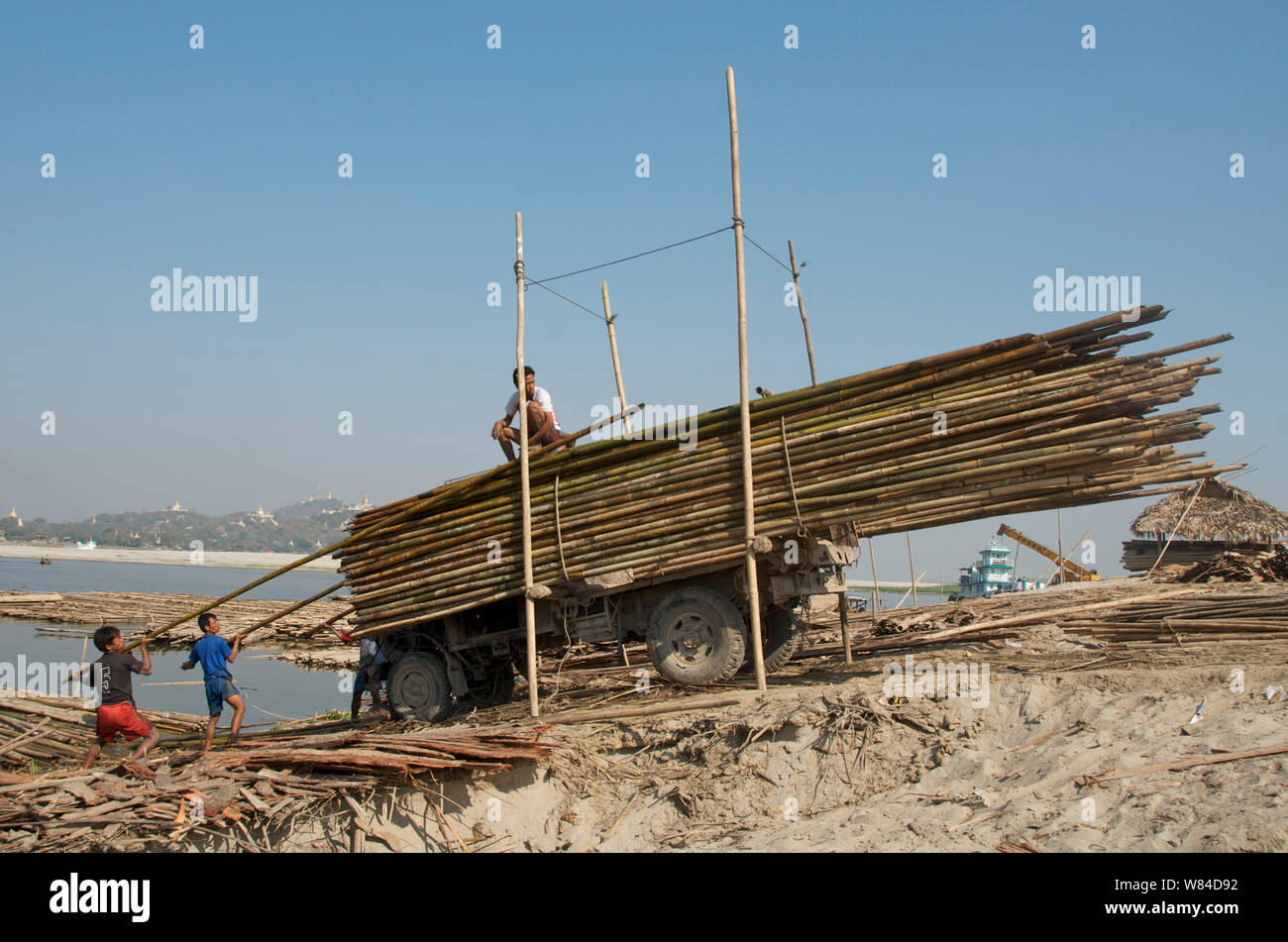 Loading of bamboo trees on a small truck Stock Photo - Alamy