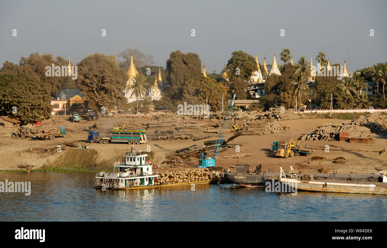 On the Irrawady River, countless barges carrying wood, come docking to ...