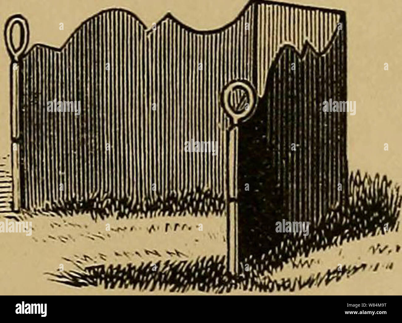 "Illustrated catalogue of chivalrie, with the rules of the game ...