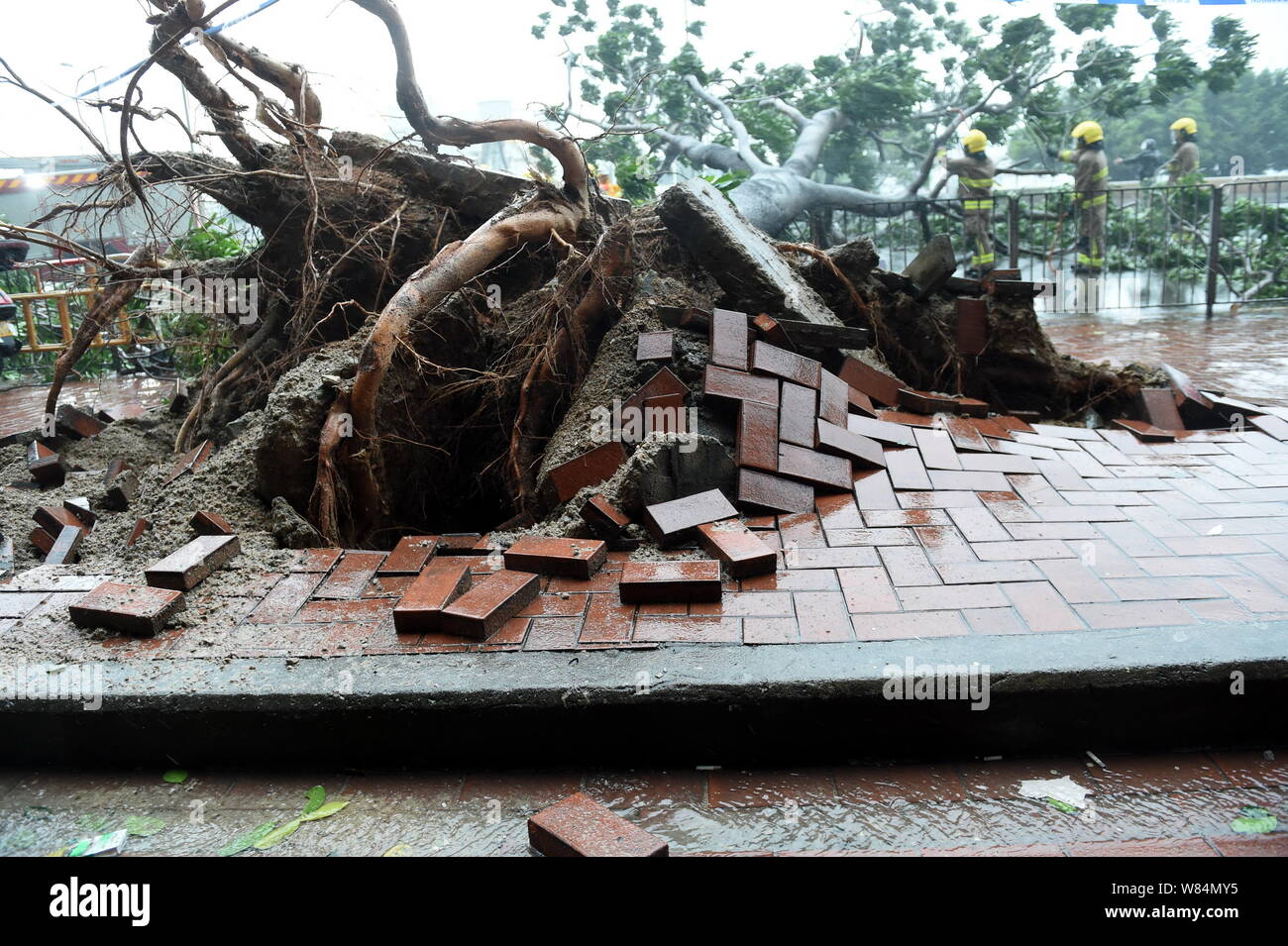 Typhoon wind hi-res stock photography and images - Alamy
