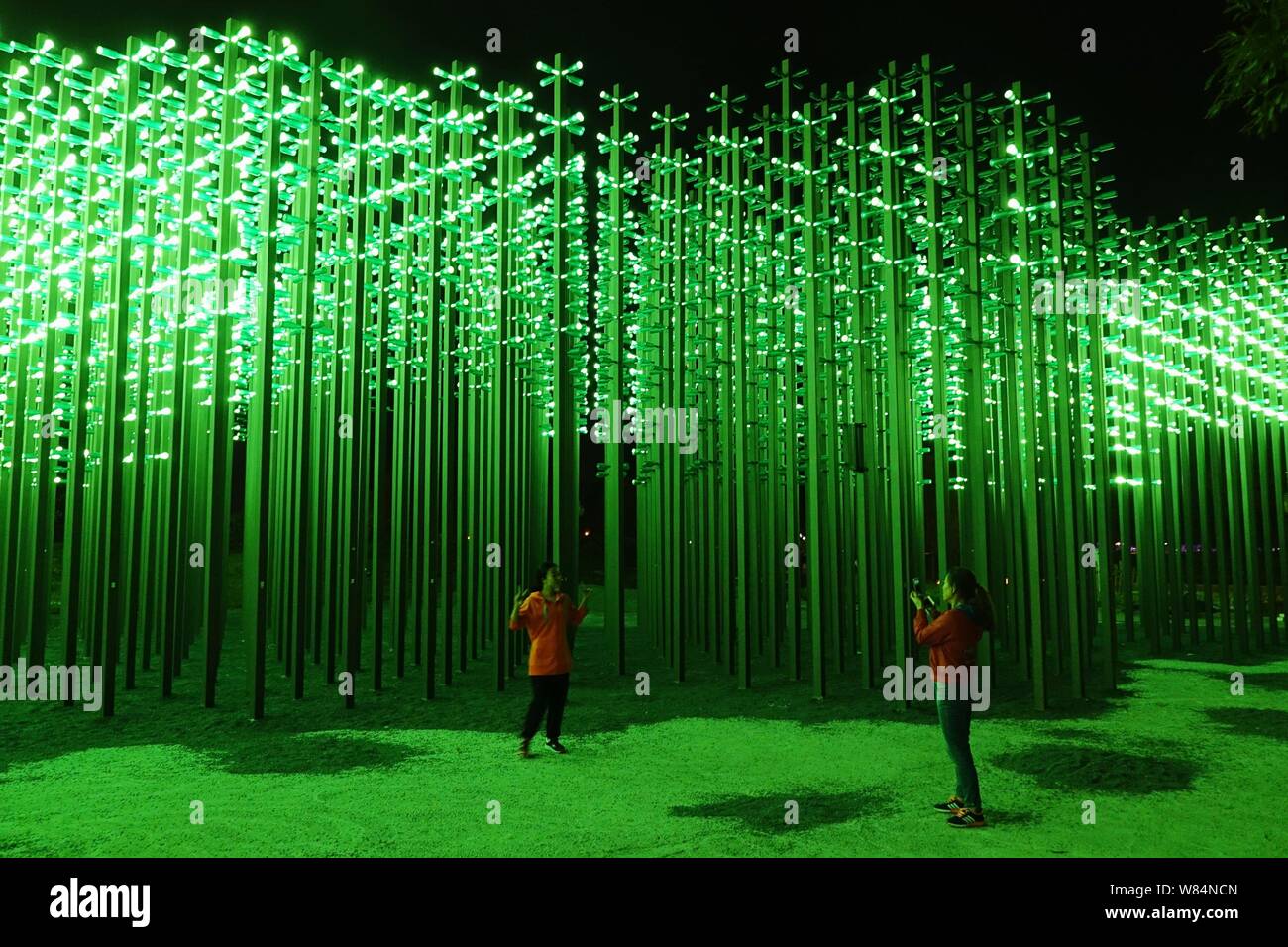 A night view of the forest of "trees" out of plastic beer bottles at a ...