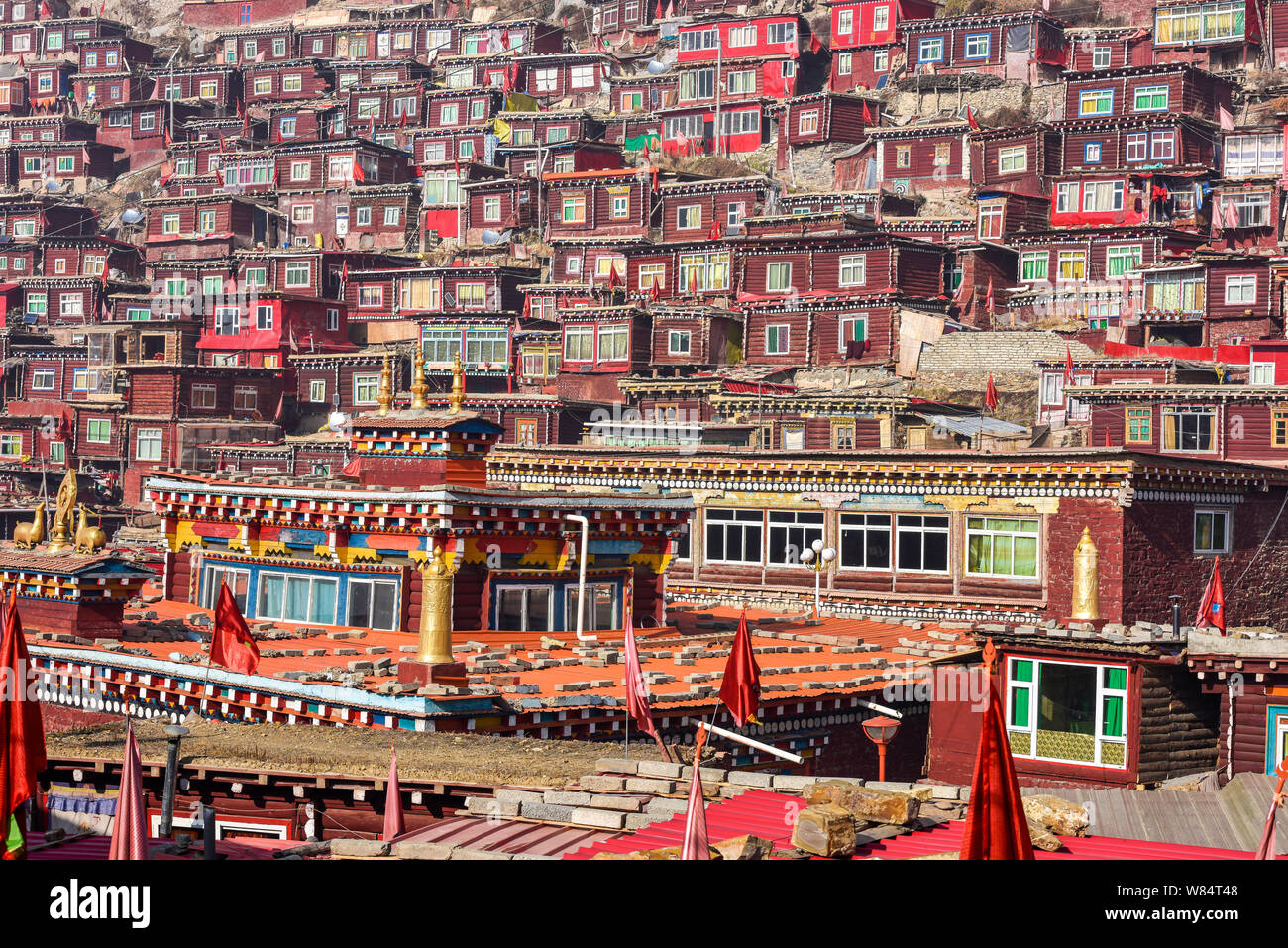 View of homes to monks, nuns and religious students at the campus of ...
