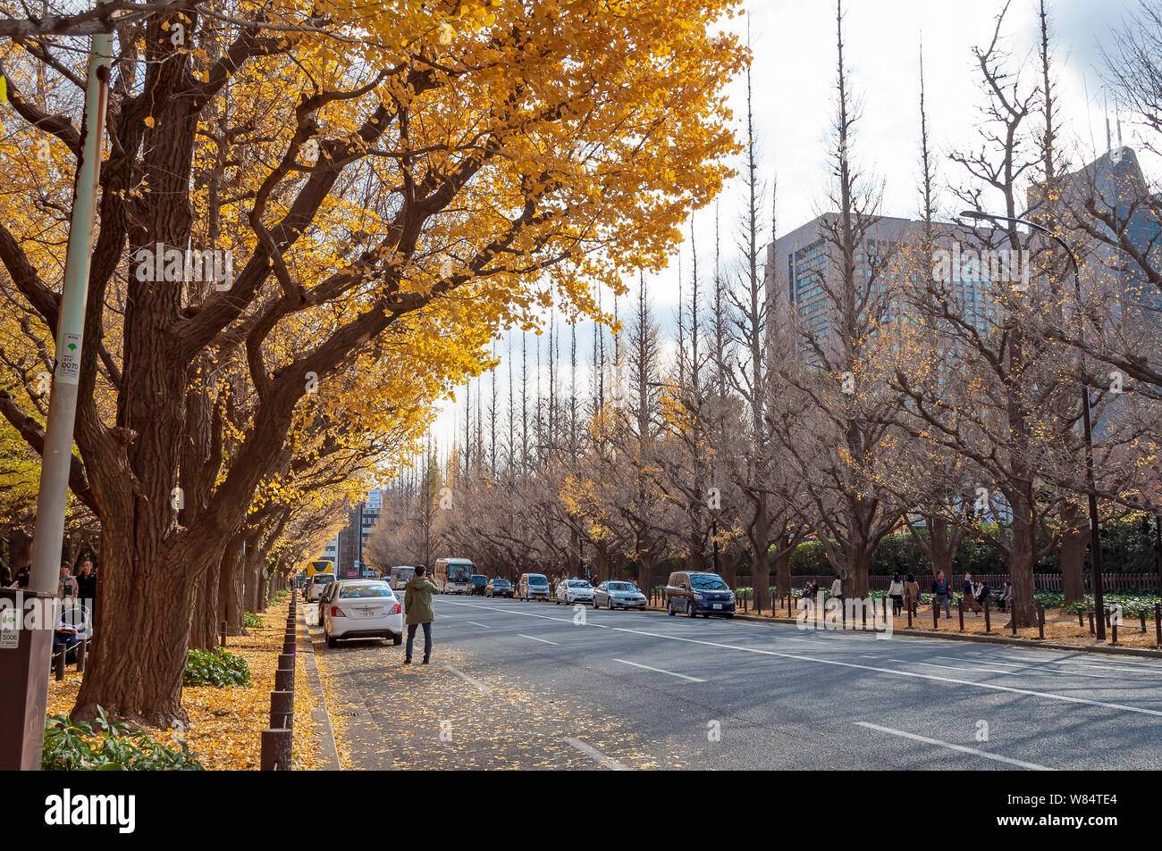 Kita-Aoyama, Tokyo, Japan - December 8, 2018: a street with yellow ...