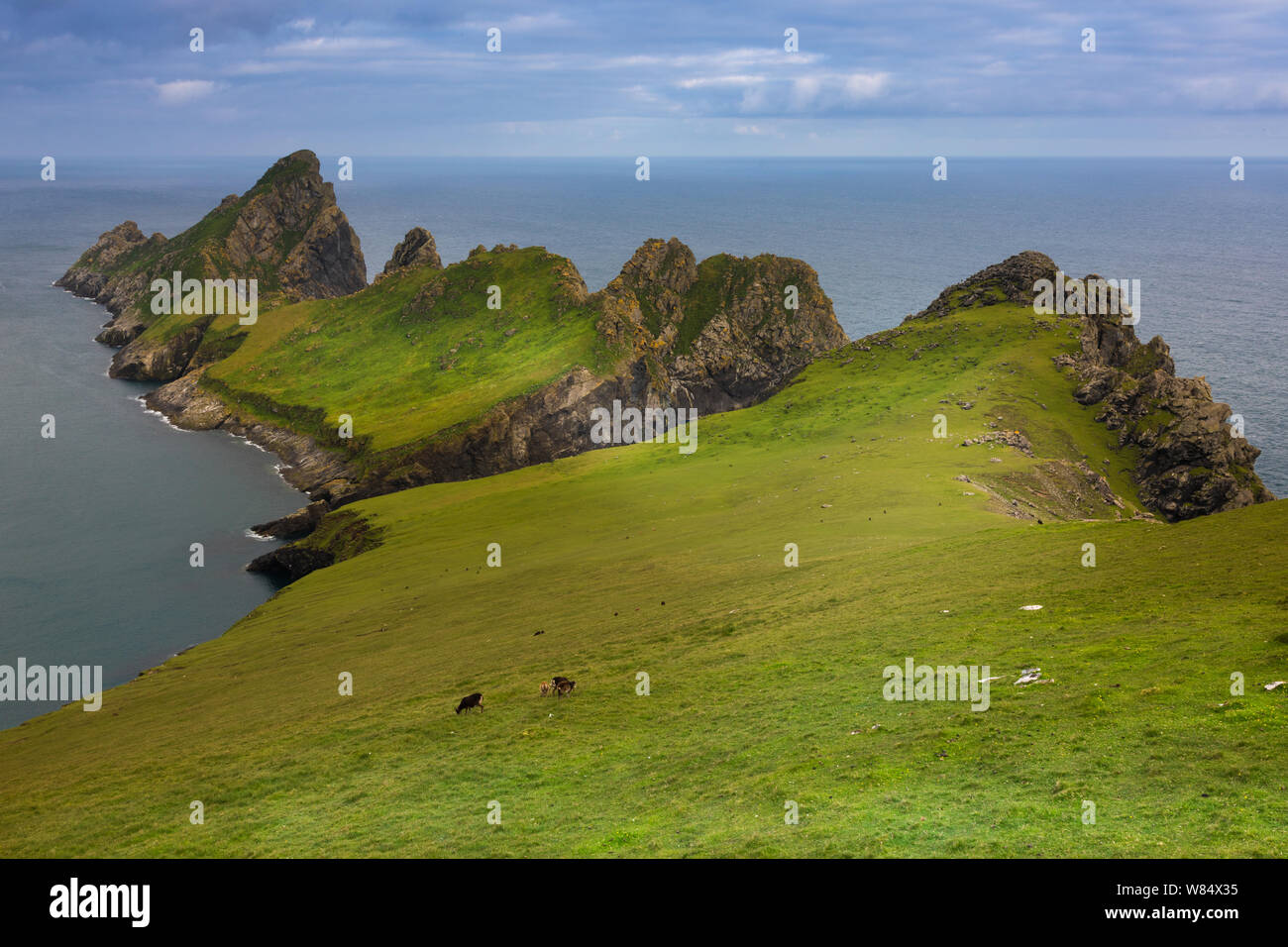 Hirta Cliffs High Resolution Stock Photography and Images - Alamy