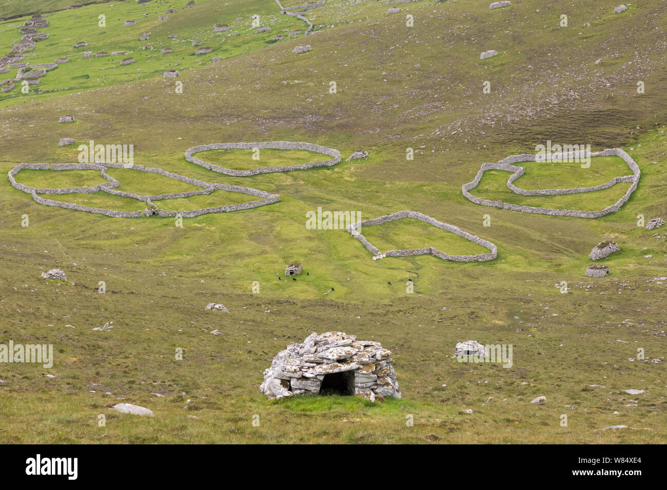 Hirta cliffs hi-res stock photography and images - Alamy