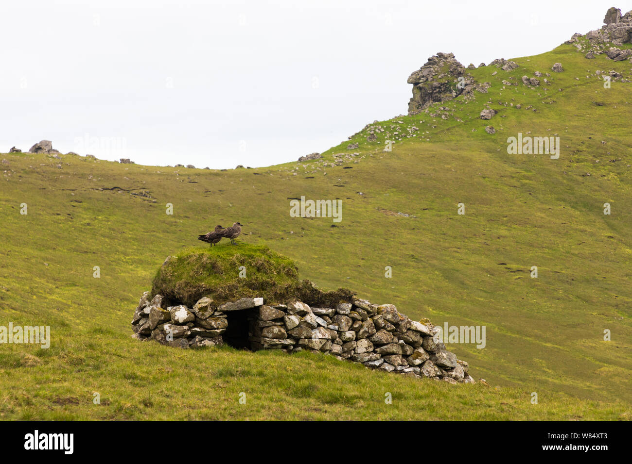 Hirta cliffs hi-res stock photography and images - Alamy