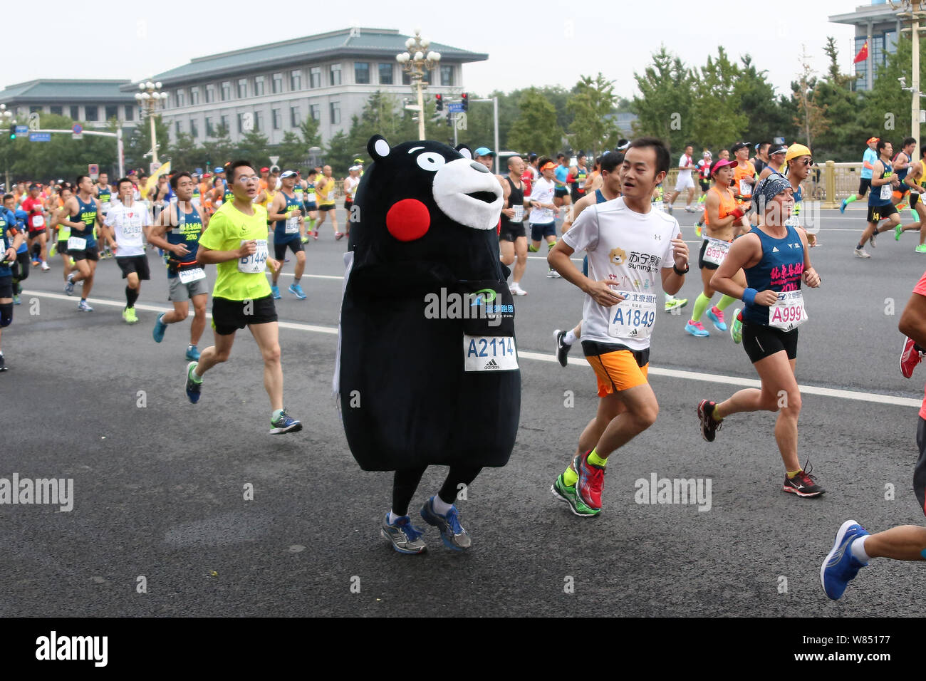 A Chinese participant dressed in a Kumamon costume run with other ...