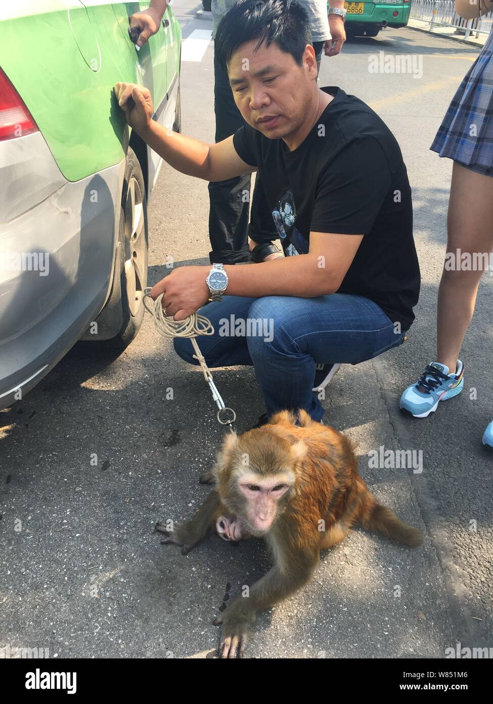A ringmaster of a circus carrying a monkey is pictured next to a taxi ...