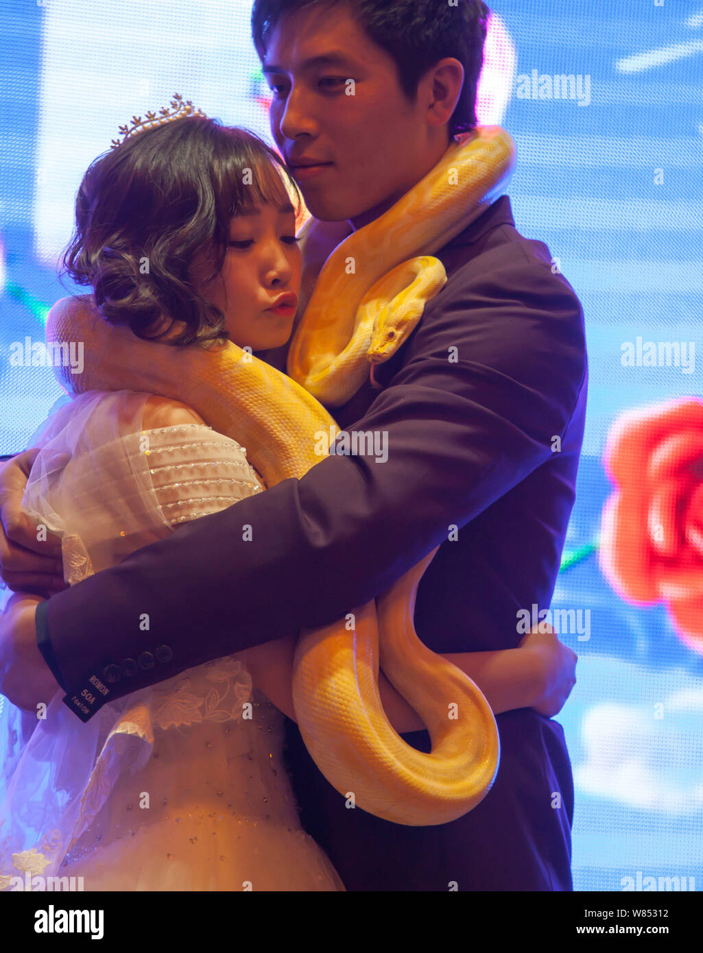 Chinese groom Wu Jianfeng hugs his bride Jiang Xue while carrying pythons around their necks at ...