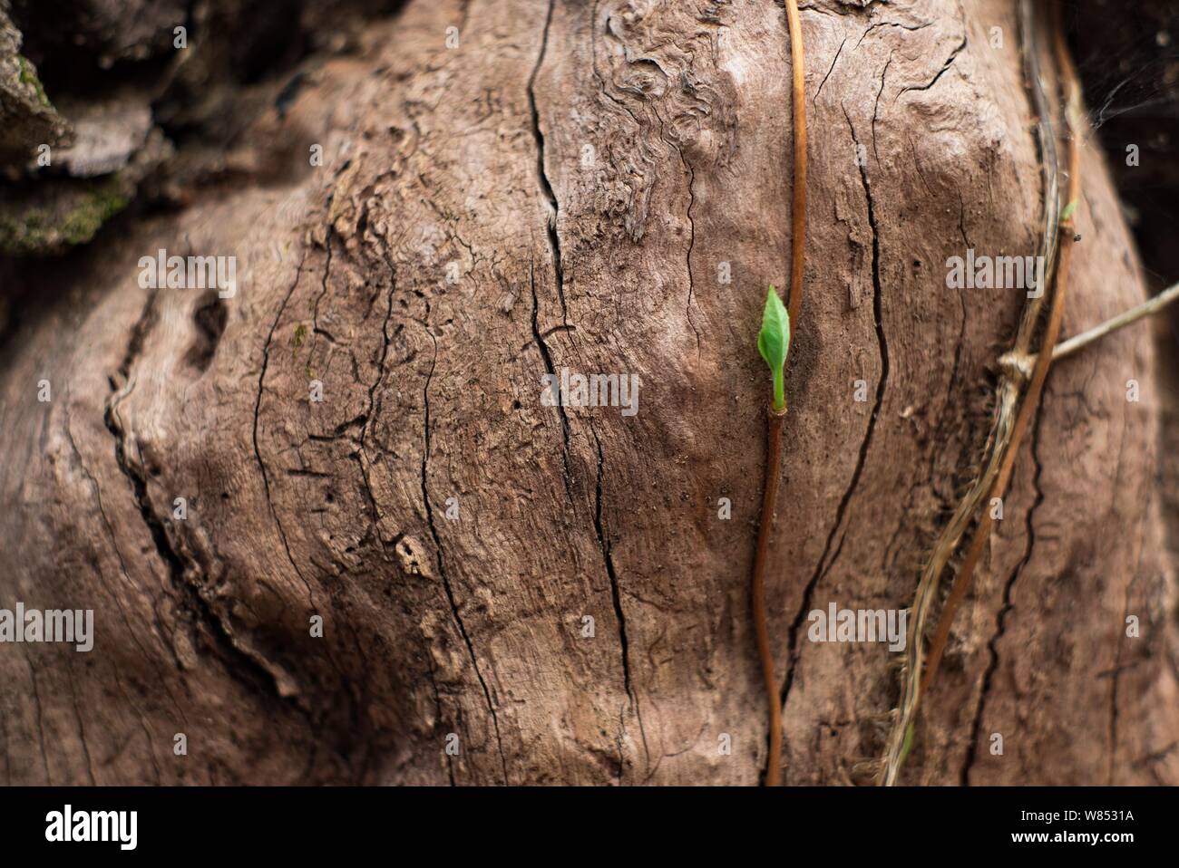 Small opening above hi-res stock photography and images - Alamy