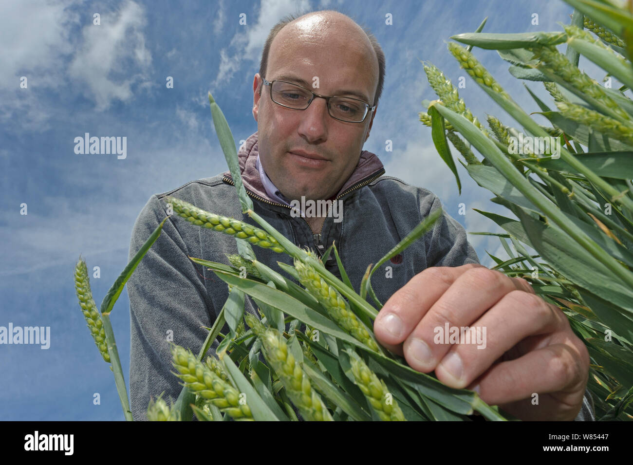Hope farm rspb hi-res stock photography and images - Alamy