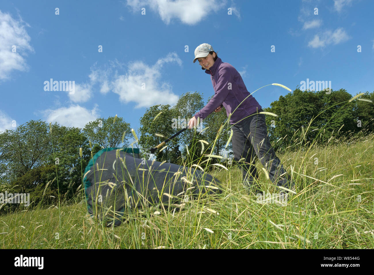 Model butterflies hi-res stock photography and images - Alamy