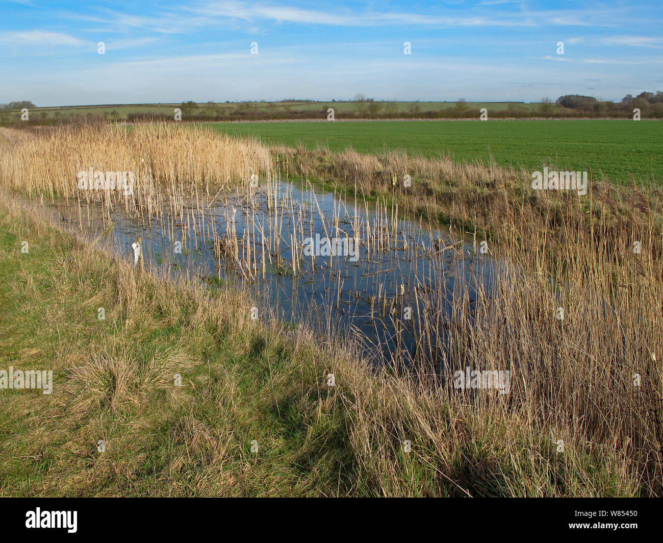Hope farm cambridgeshire hi-res stock photography and images - Alamy