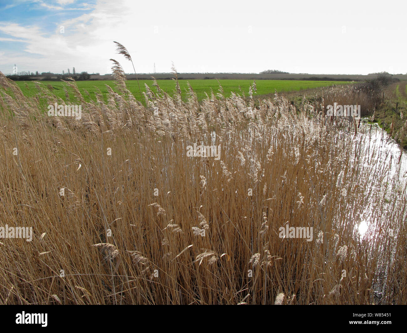 Hope farm cambridgeshire hi-res stock photography and images - Alamy