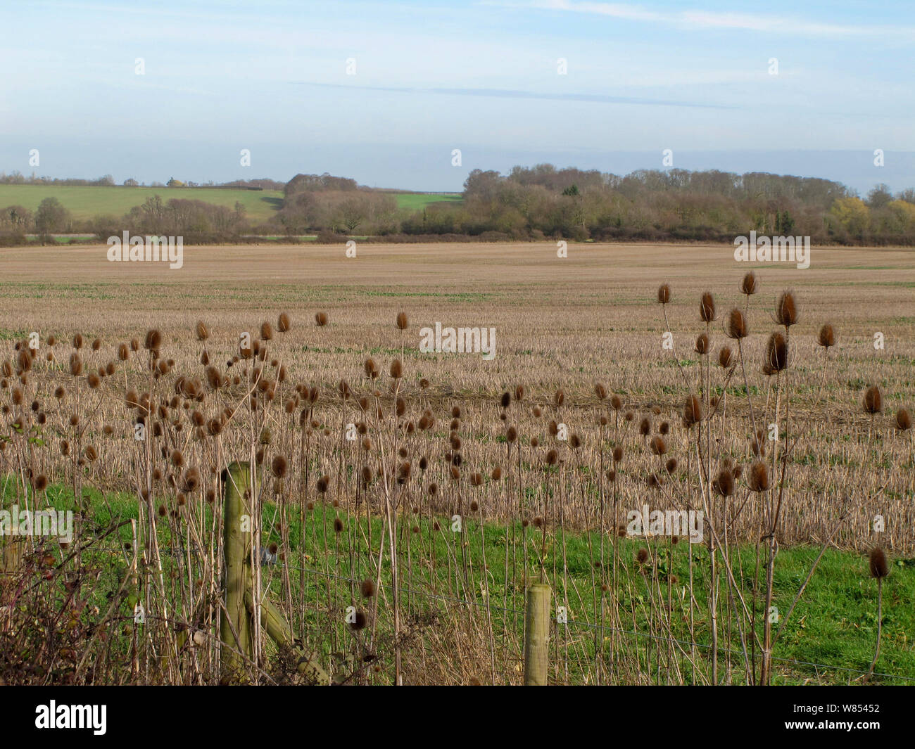 Hope farm rspb hi-res stock photography and images - Alamy