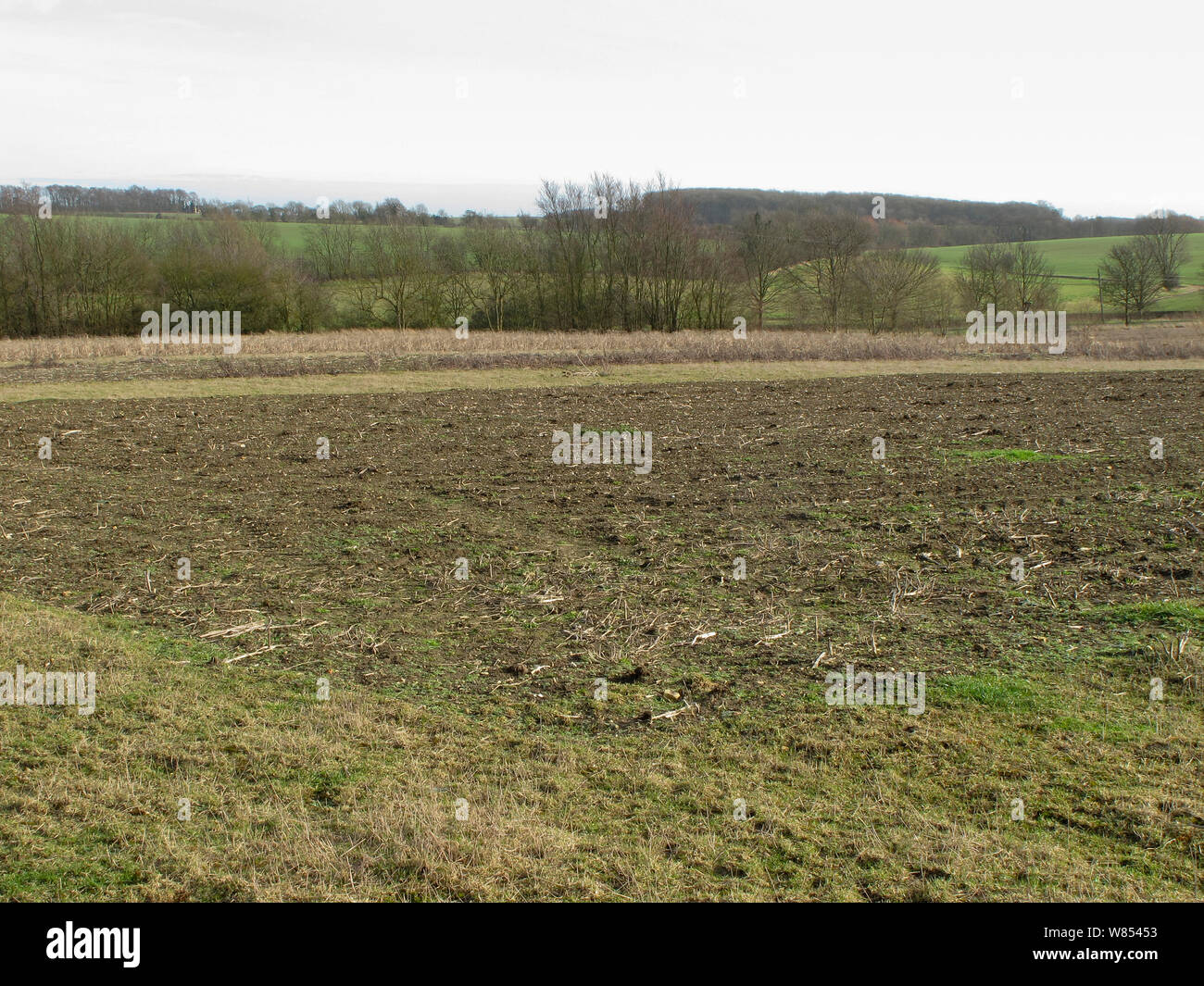 Winter stubble and conservation margin around the field at RSPB's Hope ...
