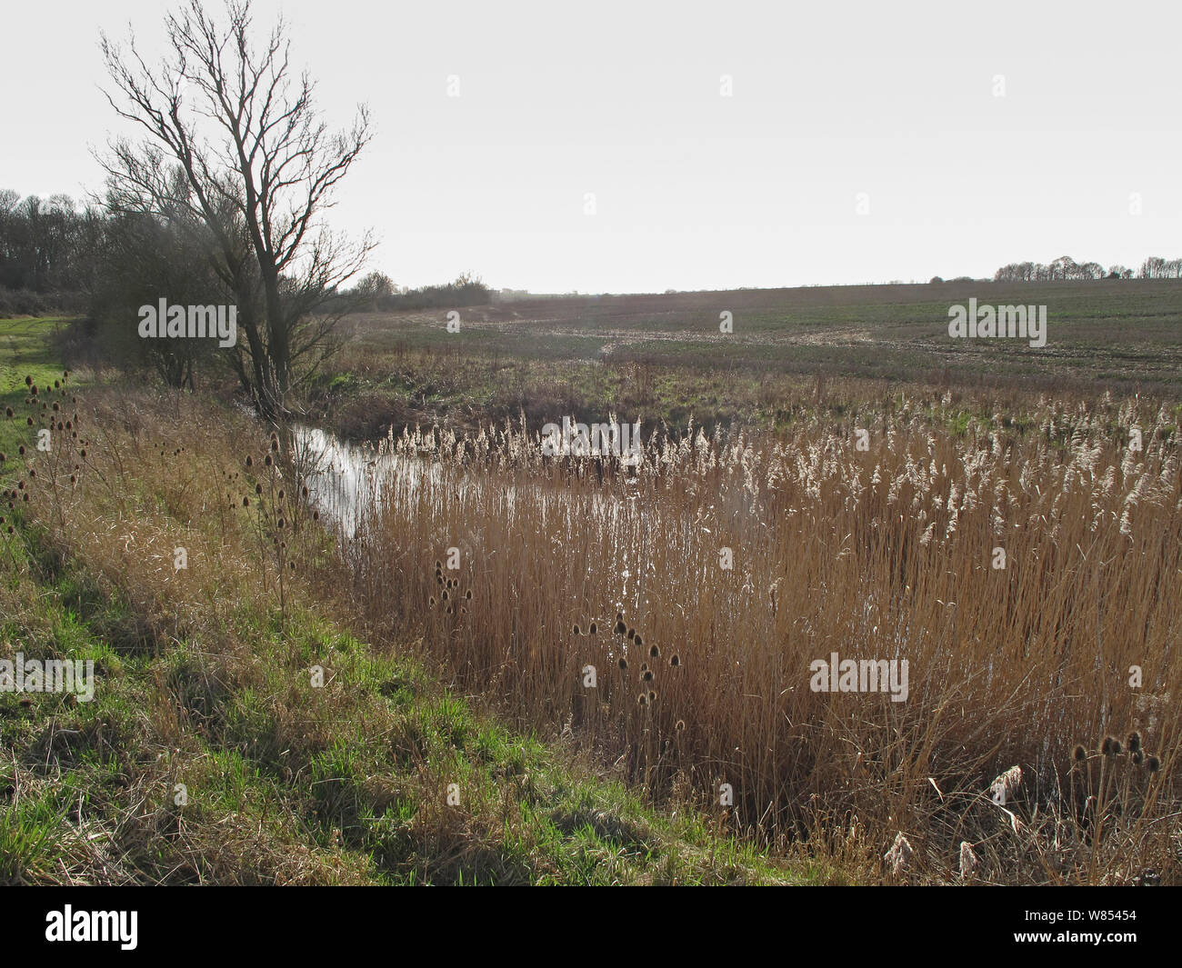 Hope farm cambridgeshire hi-res stock photography and images - Alamy