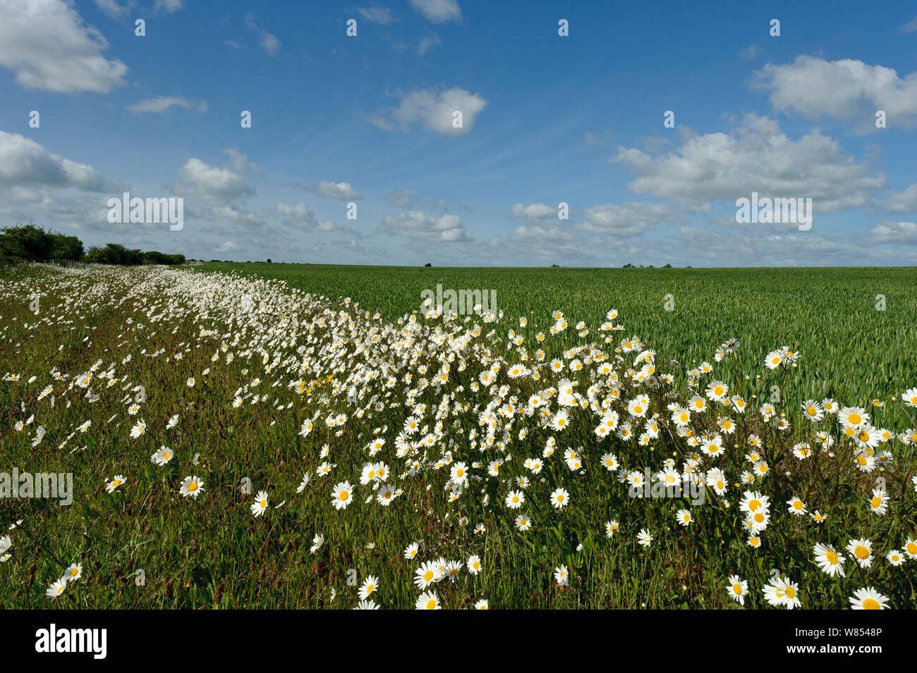 Hope farm rspb hi-res stock photography and images - Alamy