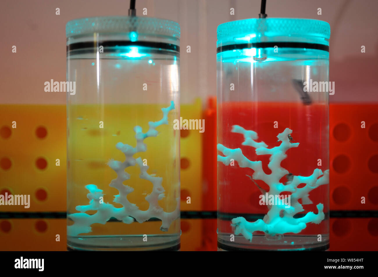 Oxygen project hi-res stock photography and images - Alamy