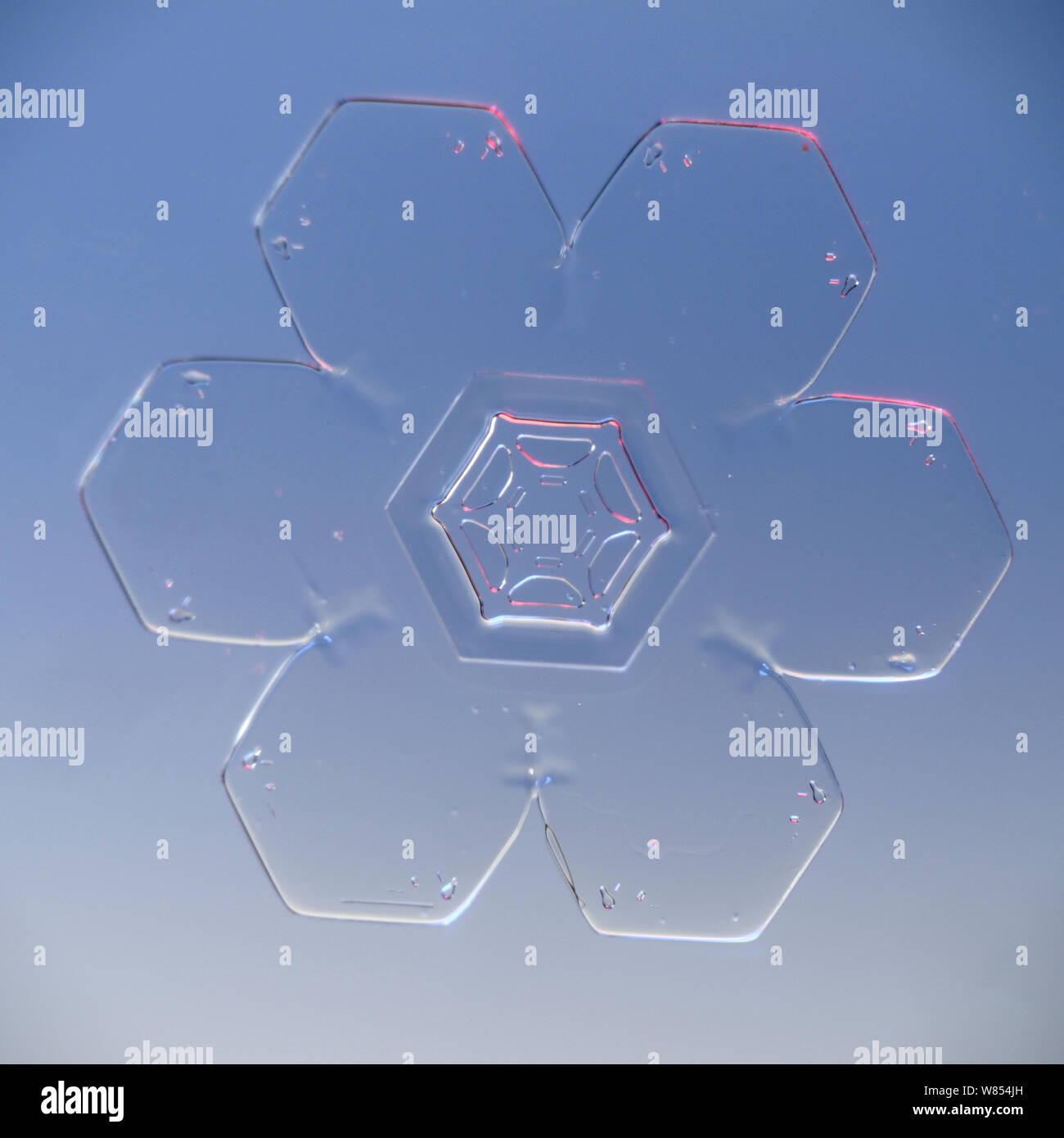 Snowflake magnified under microscope, Lilehammer, Norway Stock Photo ...