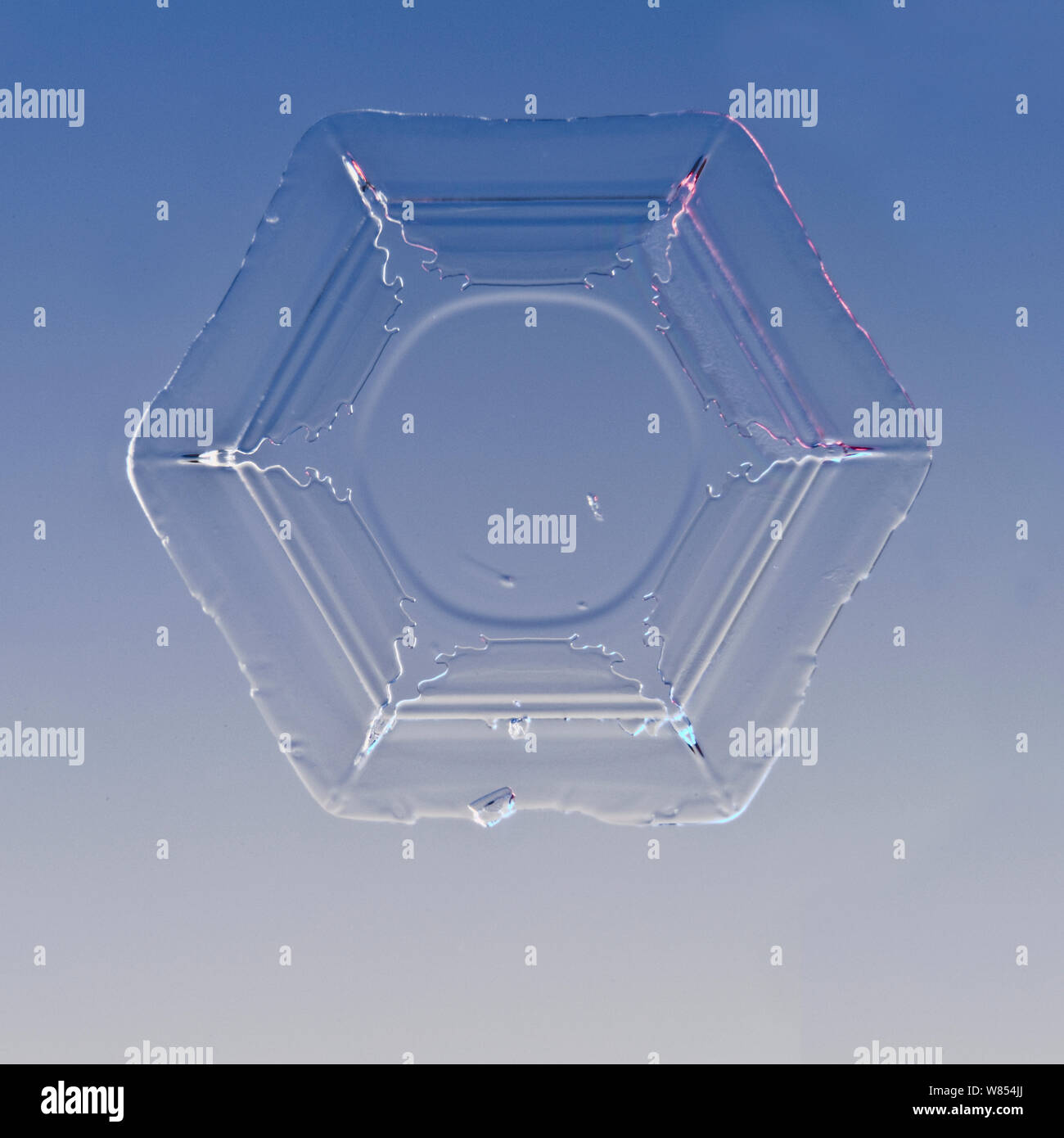 Snowflake magnified under microscope, Lilehammer, Norway Stock Photo ...